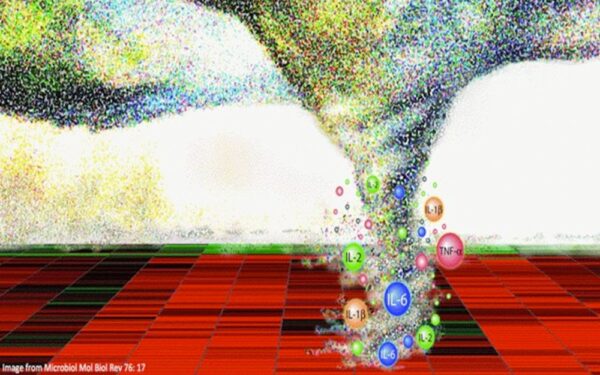 Fever of Unknown Origin (Bassiri 2020) - CHOP OPEN