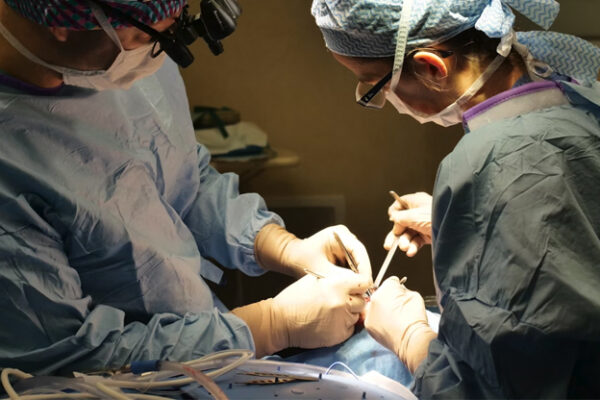 CHOP Online Pediatric Education Network (OPEN) - CHOP OPEN