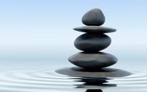 Vision and Motivation (Fieldston 2020) - CHOP OPEN